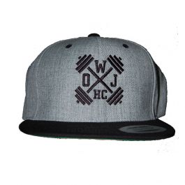 WALLS OF JERICHO - Hardcore - Grey - Base Cap