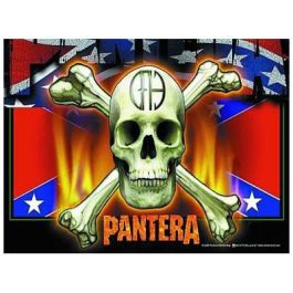 PANTERA - CFH - Skull - Posterflag im Shop